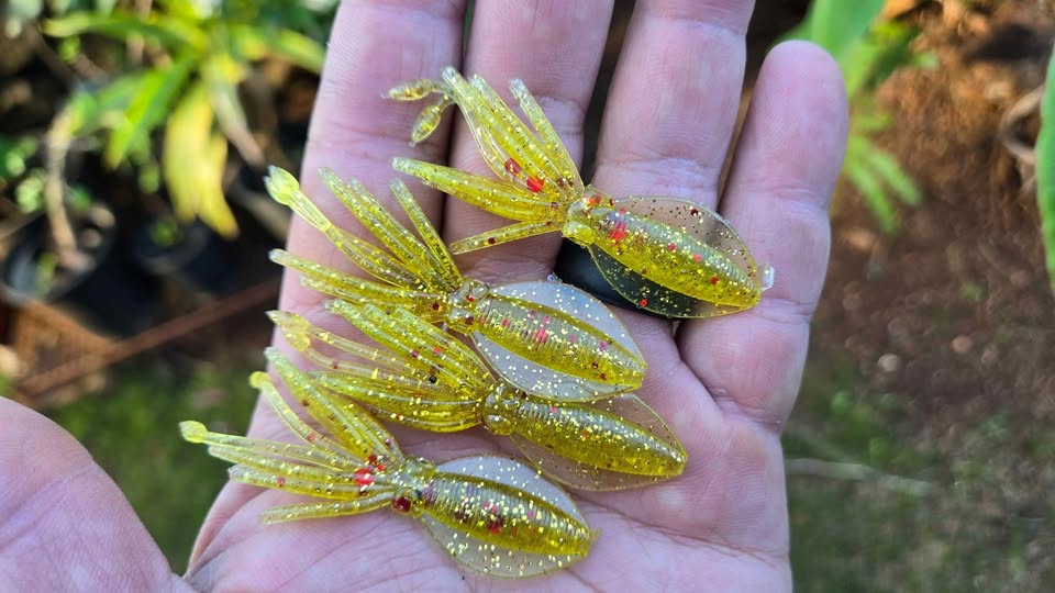 squid – JC Island lures